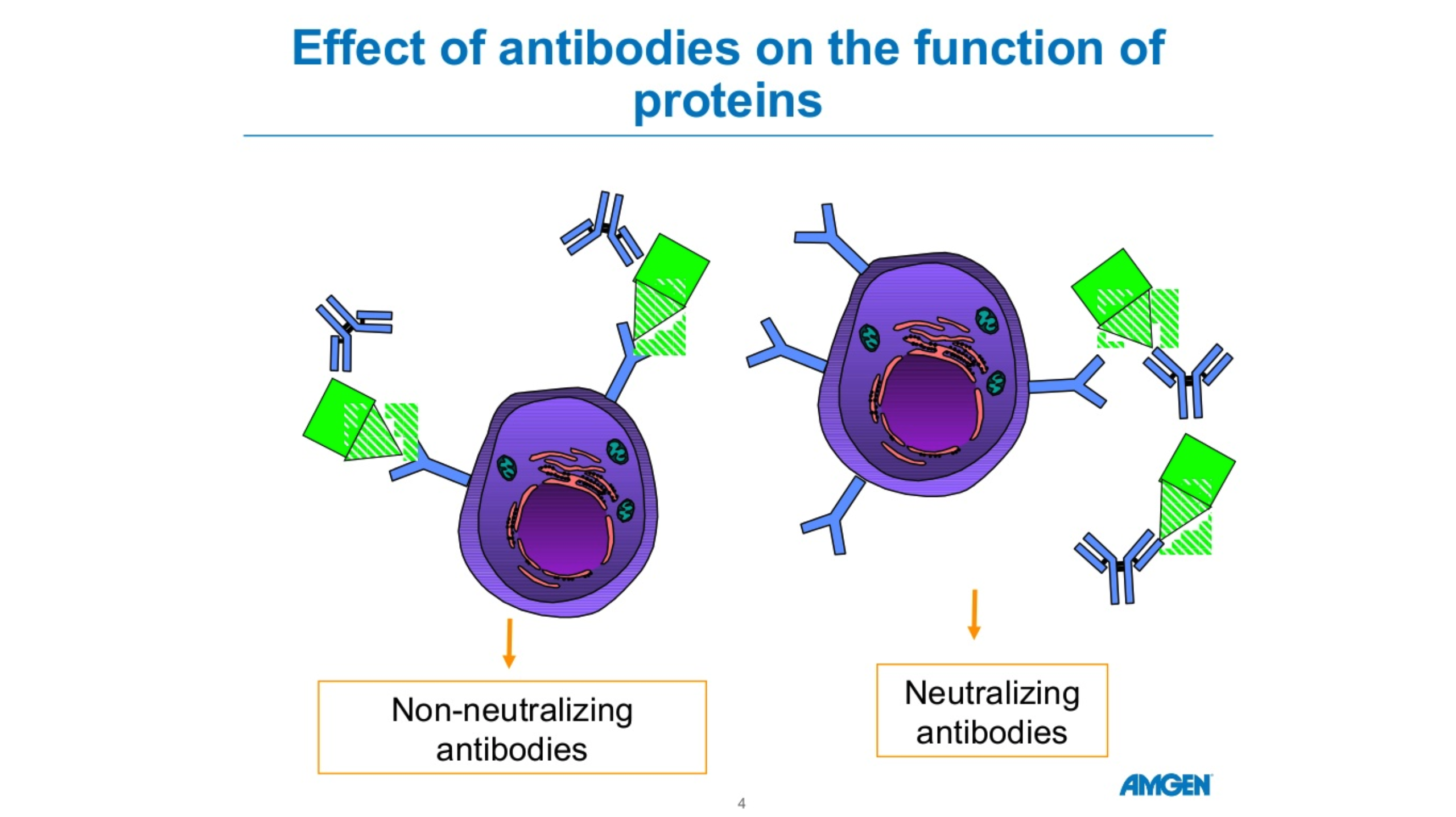 COVID 19 Antibodies Igm And IgG ENCORE Research Group COVID 19 Antibodies Igm And IgG ENCORE Research Group